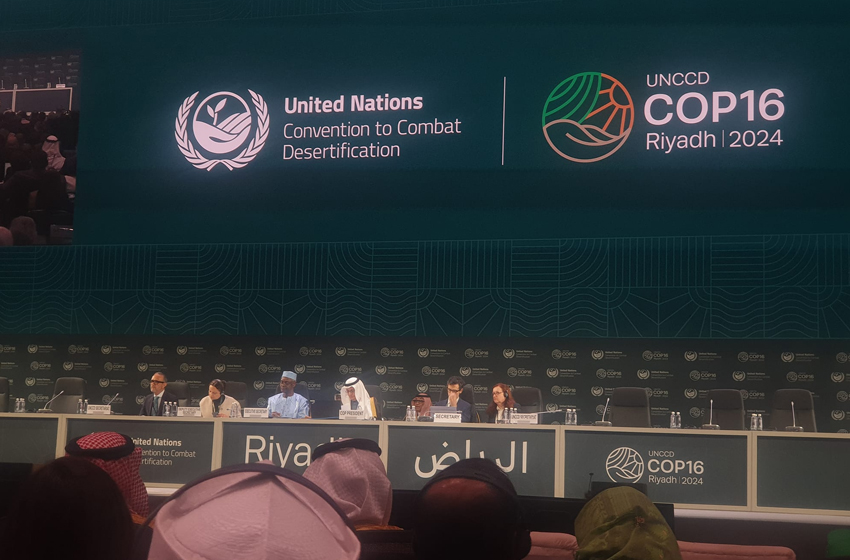 COP 16 SUR LA DESERTIFICATION / FINANCEMENT PUBLIC ET PRIVE : CE QU'ILS ...